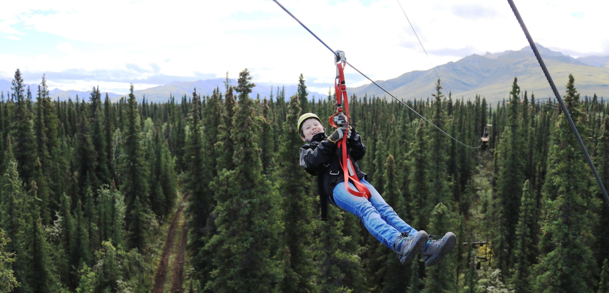 Denali Zipline Adventure Tour - Denali Park Zipline
