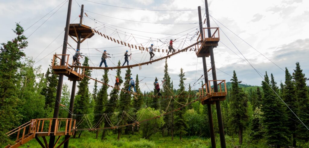 Denali Zipline Adventure Tour - Denali Park Zipline
