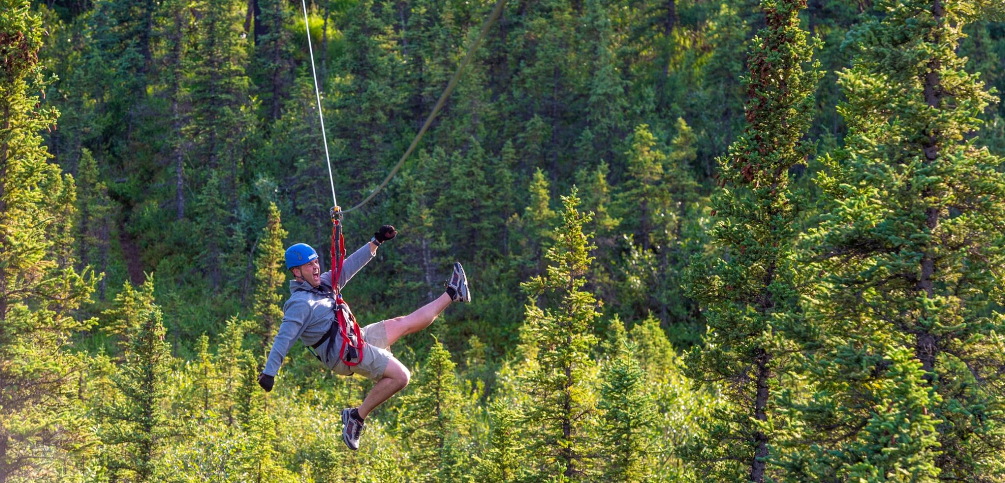 Denali Zipline Adventure Tour - Denali Park Zipline