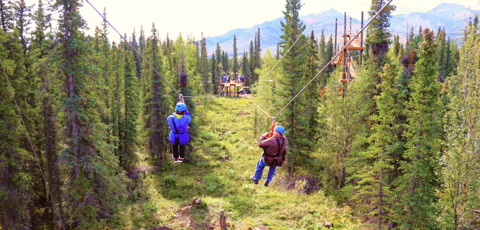 Denali Zipline Adventure Tour - Denali Park Zipline