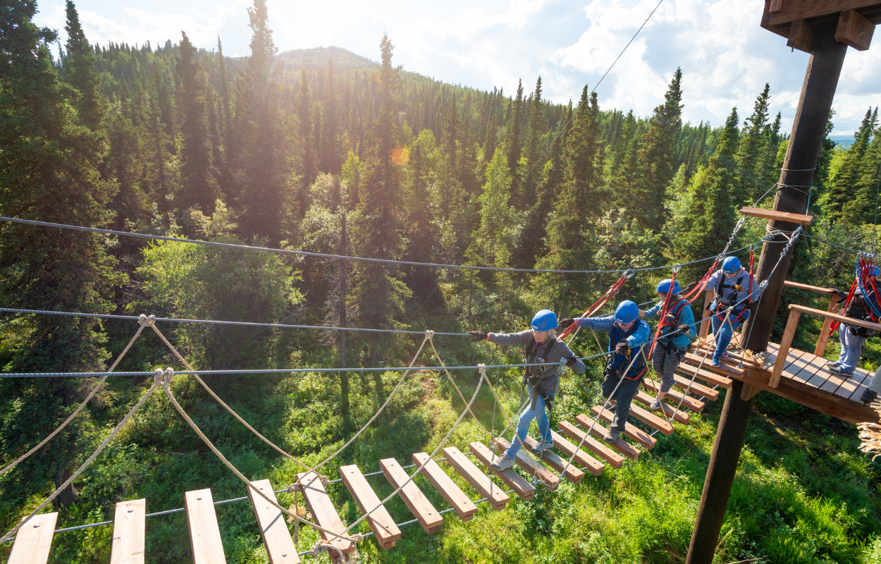 The Best Zipline In Alaska - Denali Park Zipline