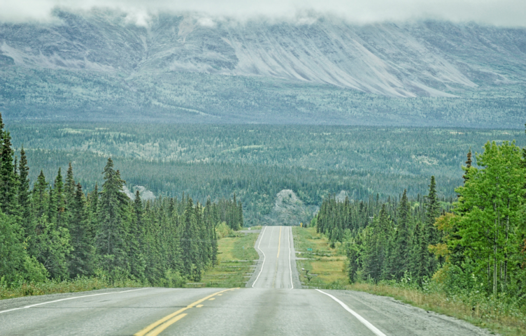 Anchorage to Denali Road Trip - Denali Park Zipline